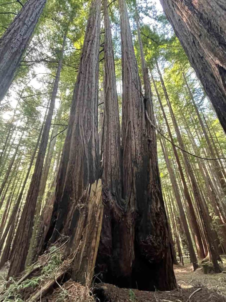 Email Marketing Isn't Dead, Yours Is Just Boring | We Can Help